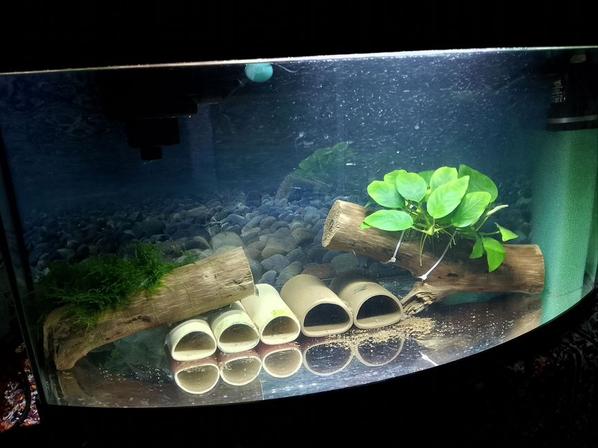 Аквариум aquael