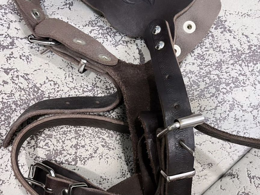 Упряжка для собак