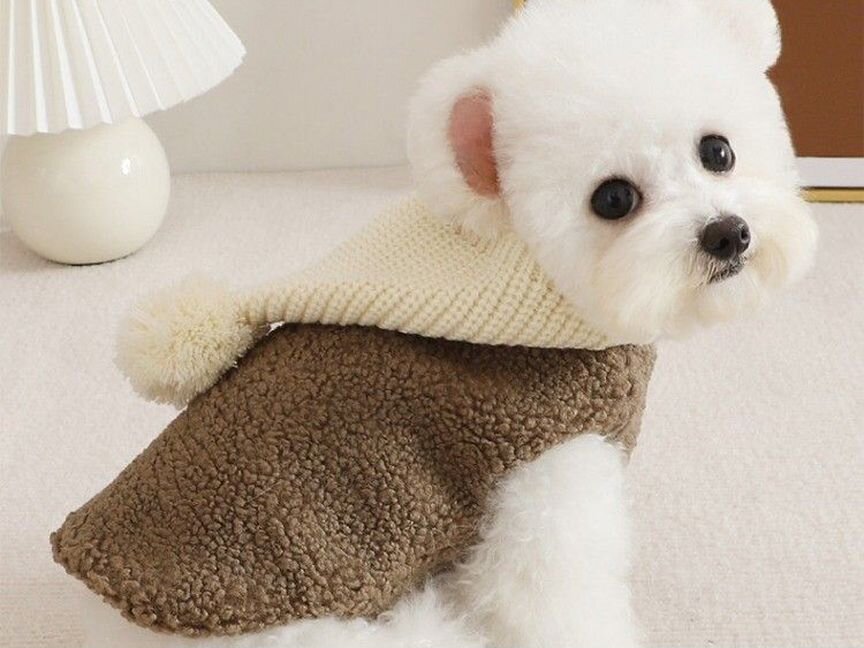 Одежда для собак мелких пород - Кофта с капюшоном