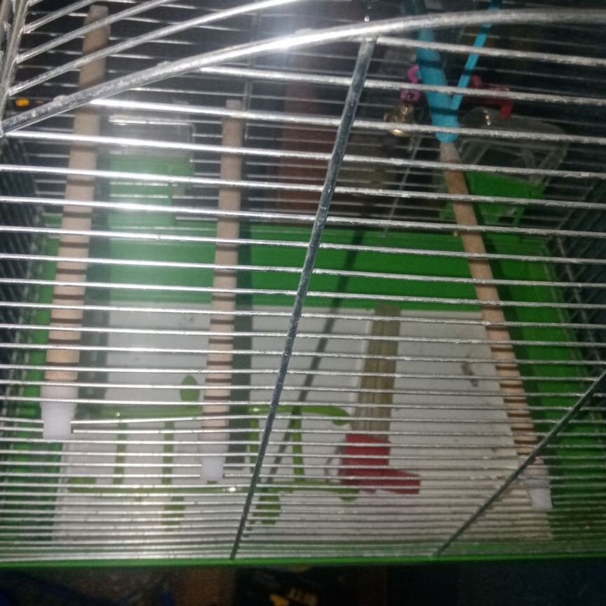 Домик для попугаев