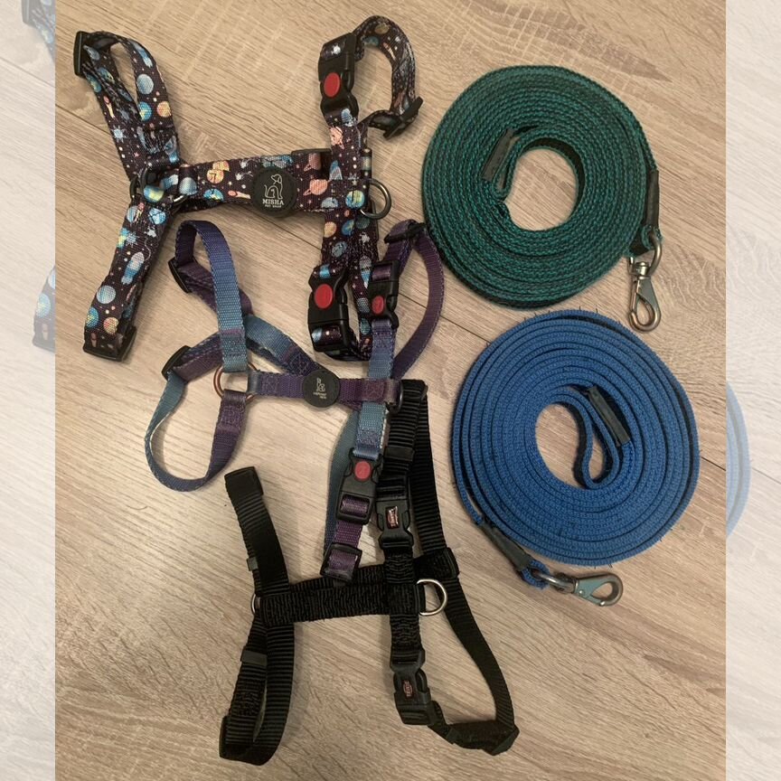 Шлейка и поводок для собаки