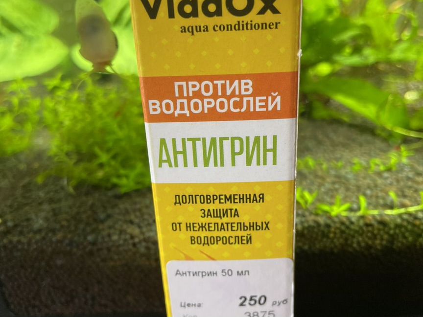 Средство против водорослей в аквариуме