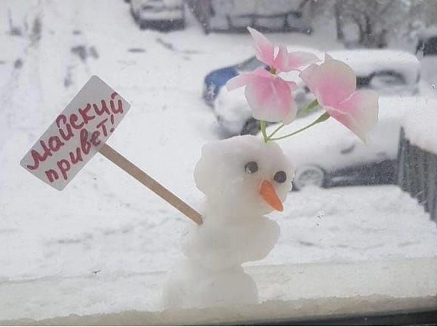 Кеклик белый самец