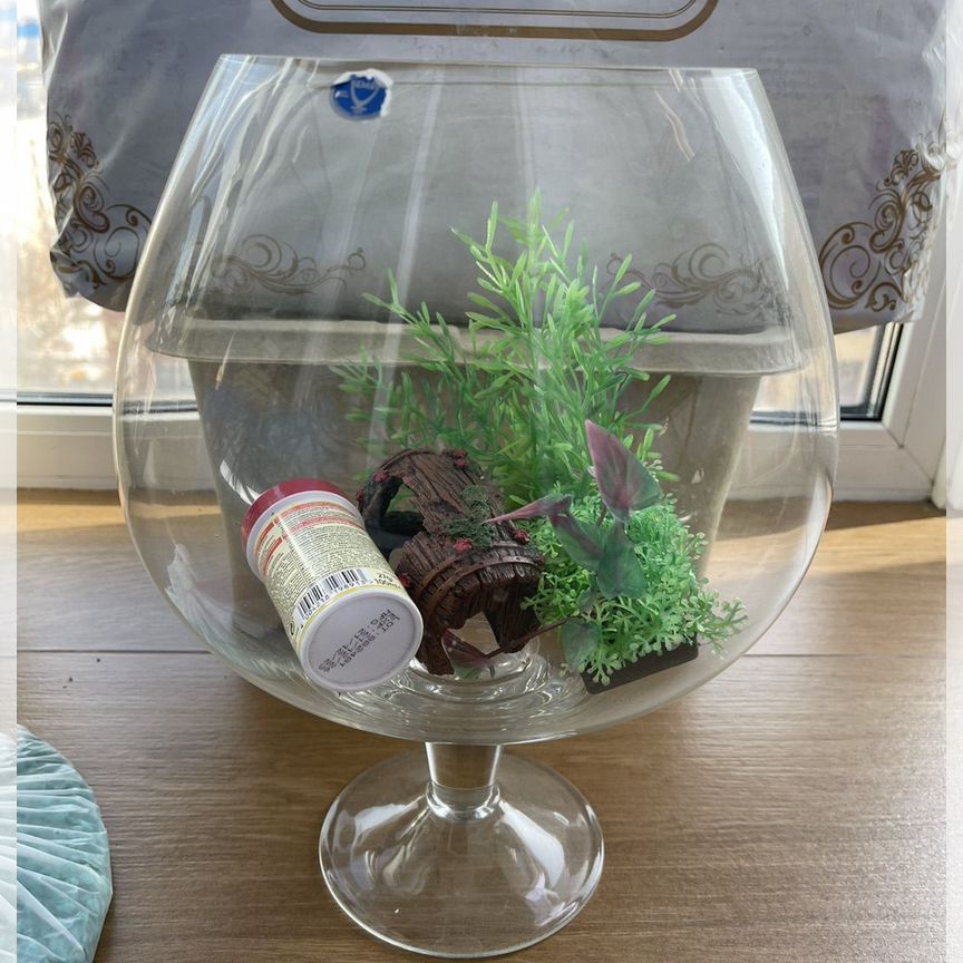 Аквариум для рыбки петушка