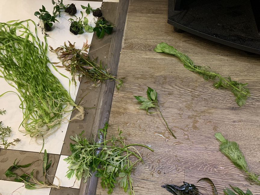 Аквариумная прополка