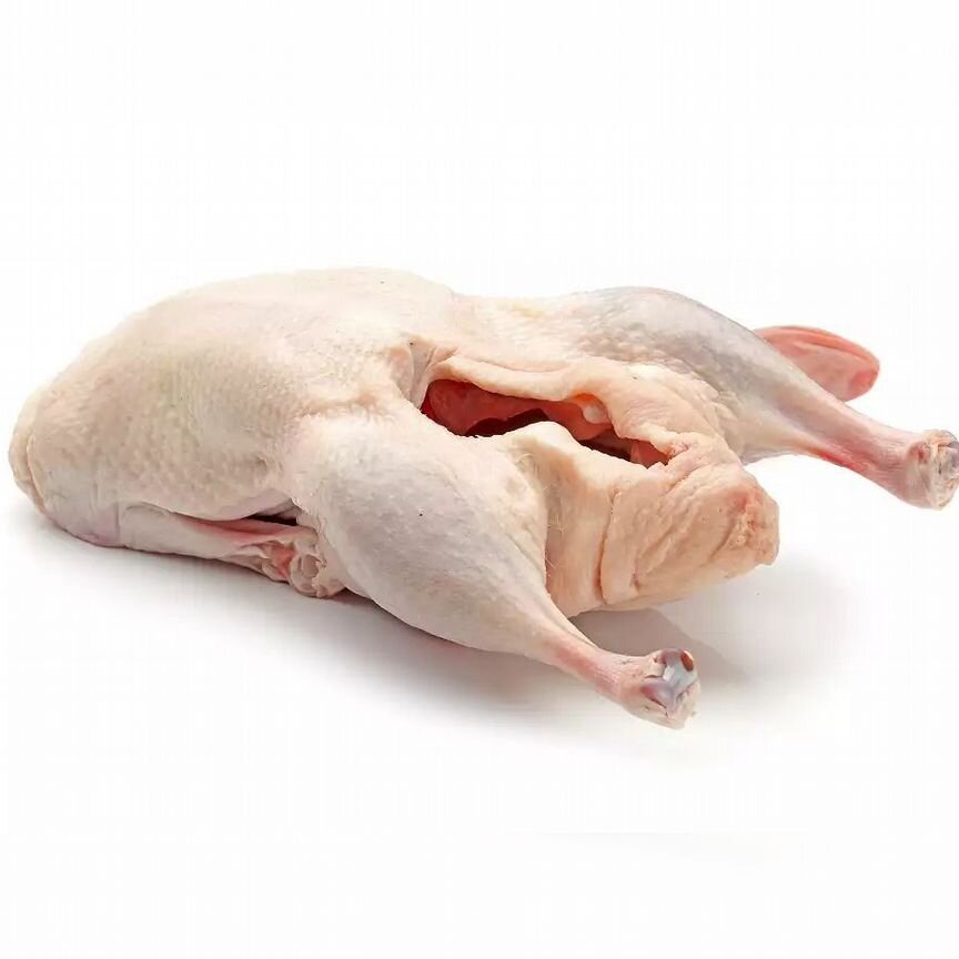 Утка домашняя