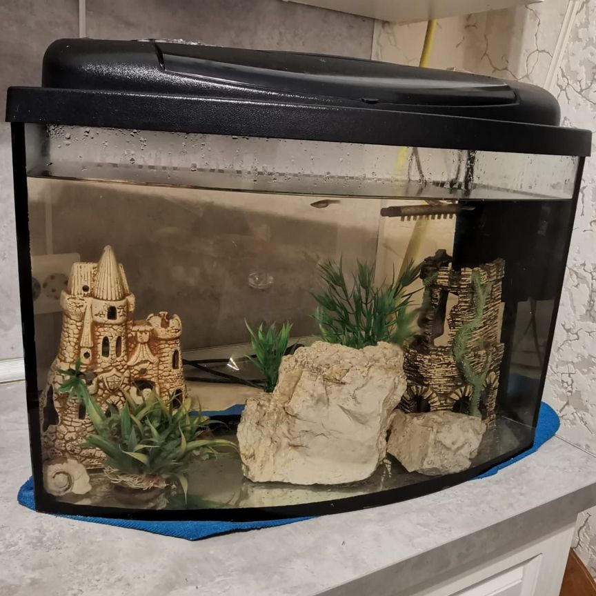 Аквариум с фильтром и рыбками