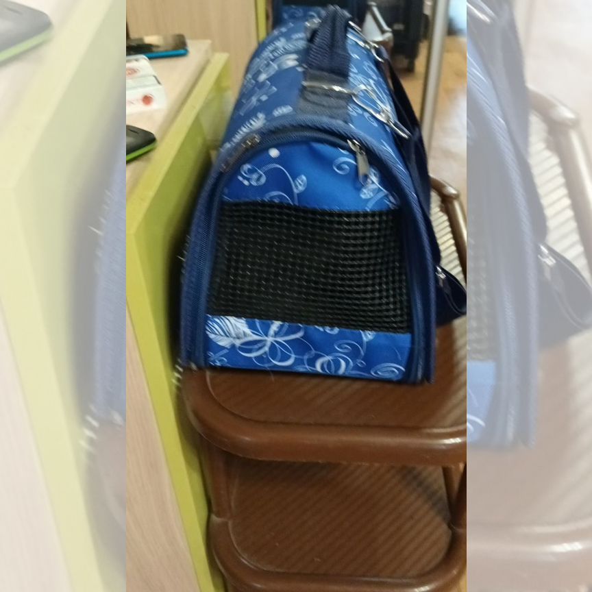 Переноска для кошек бу