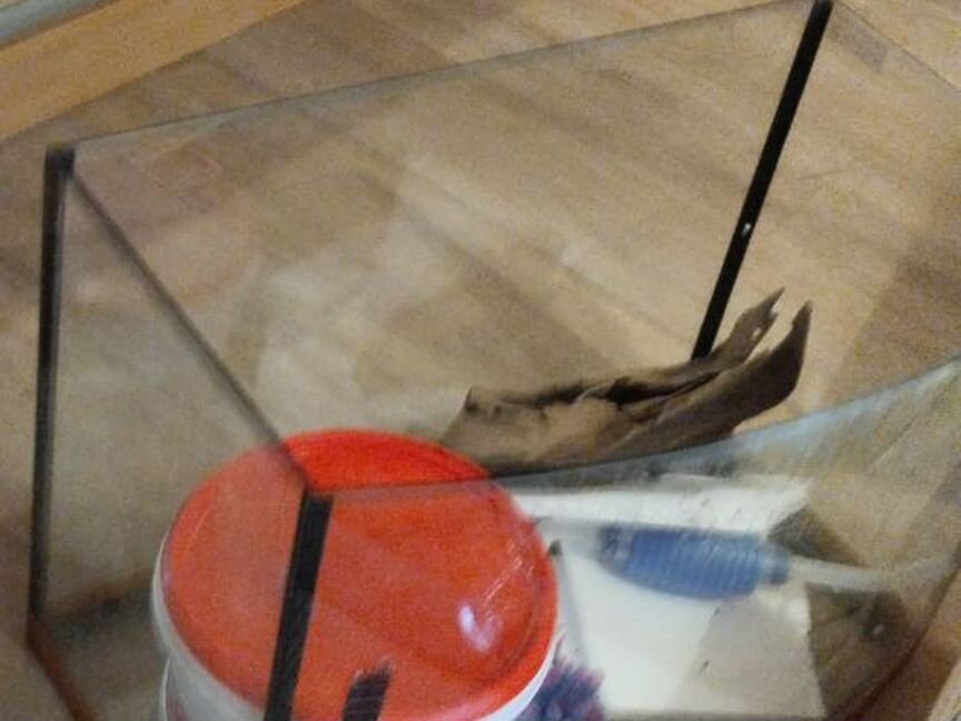 Аквариум для рыб