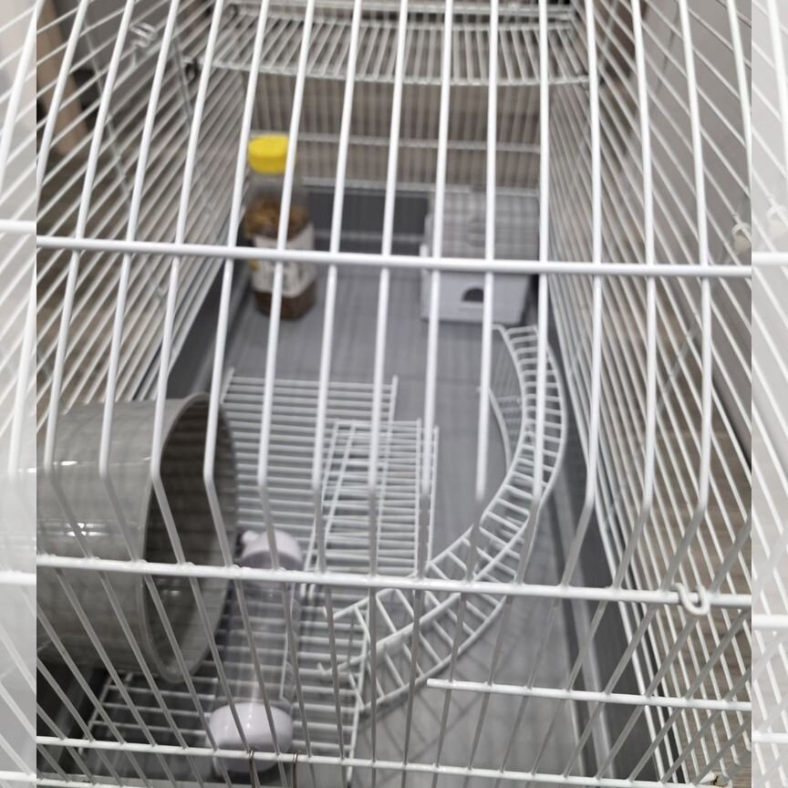 Клетка для грызунов большая. Размеры: