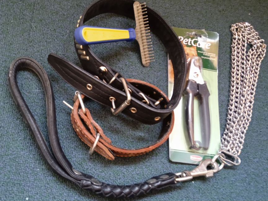 Поводок, ошейник для крупных собак