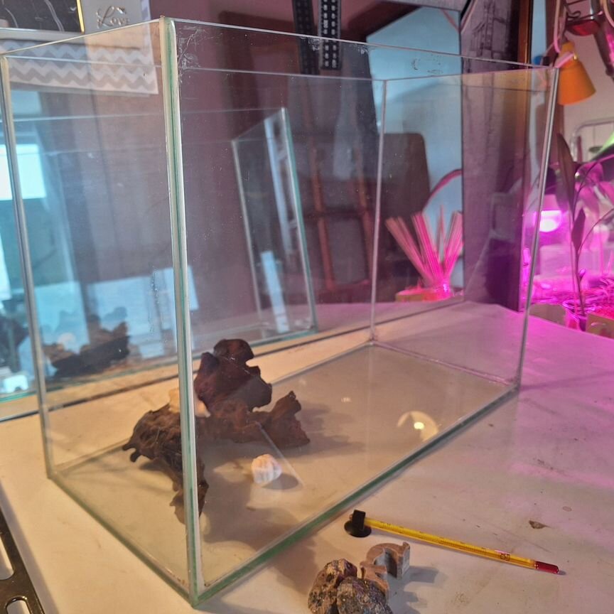 Аквариум и декор