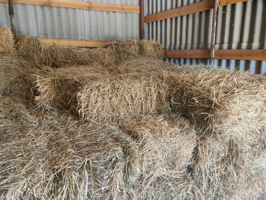 Сено в тюках