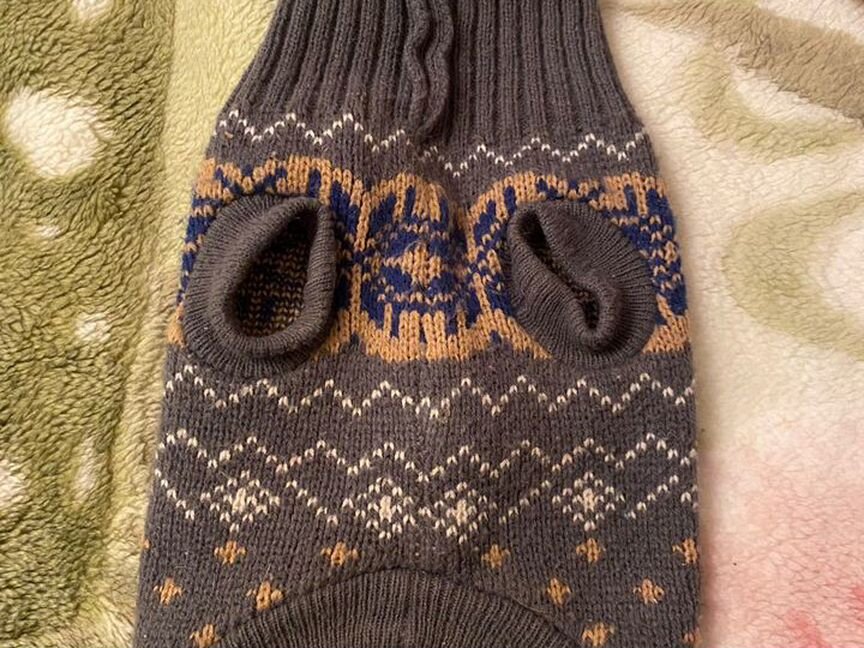 Костюм для собачки