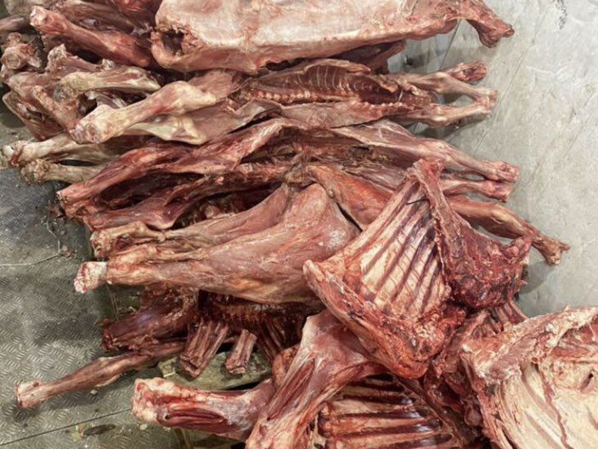 Мясо говядина для собак телята