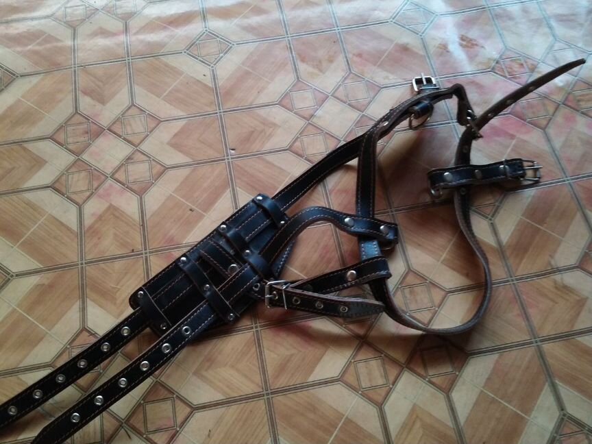 Упряжка для собаки Хаски