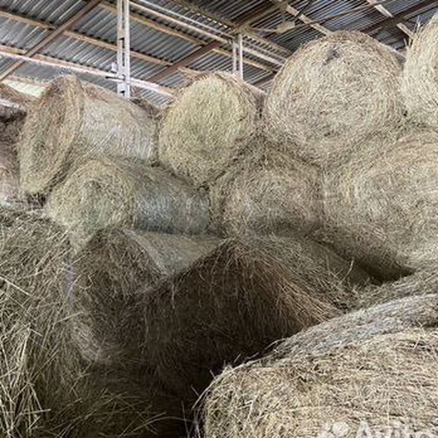 Сено в рулонах с доставкой