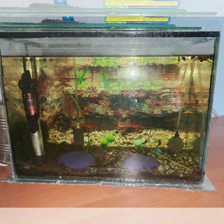 2 аквариума