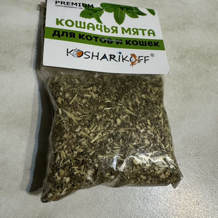 Кошачья мята
