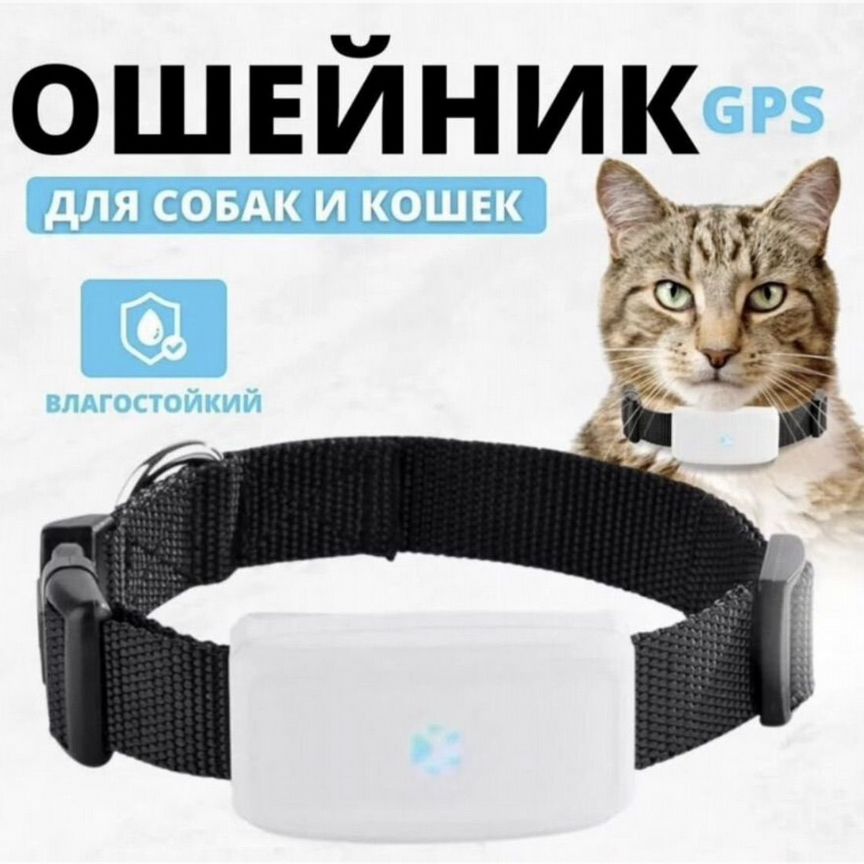 Ошейник gps tracker для собак и кошек
