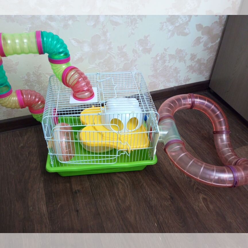 Клетка для грызуна