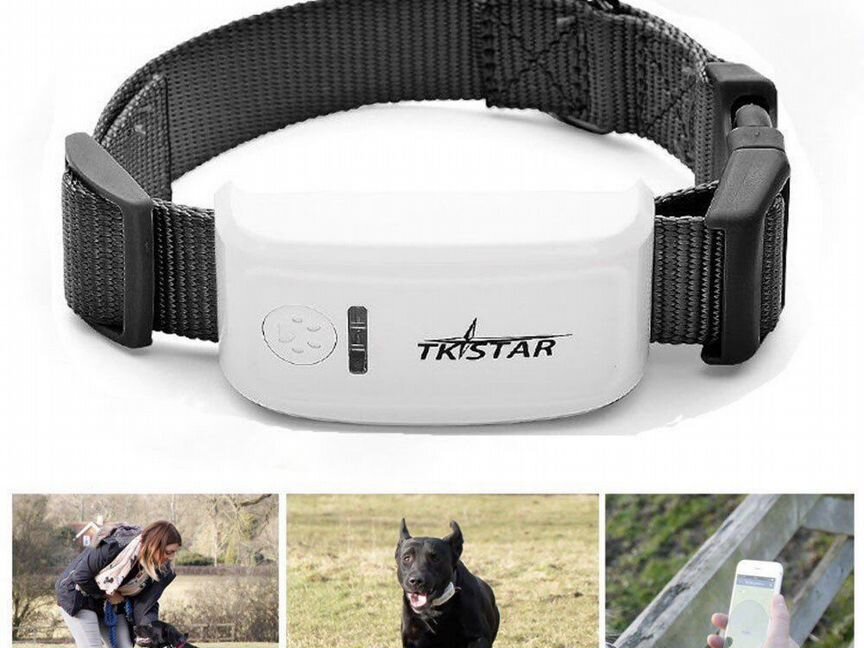 Gps трекер для собак TK909
