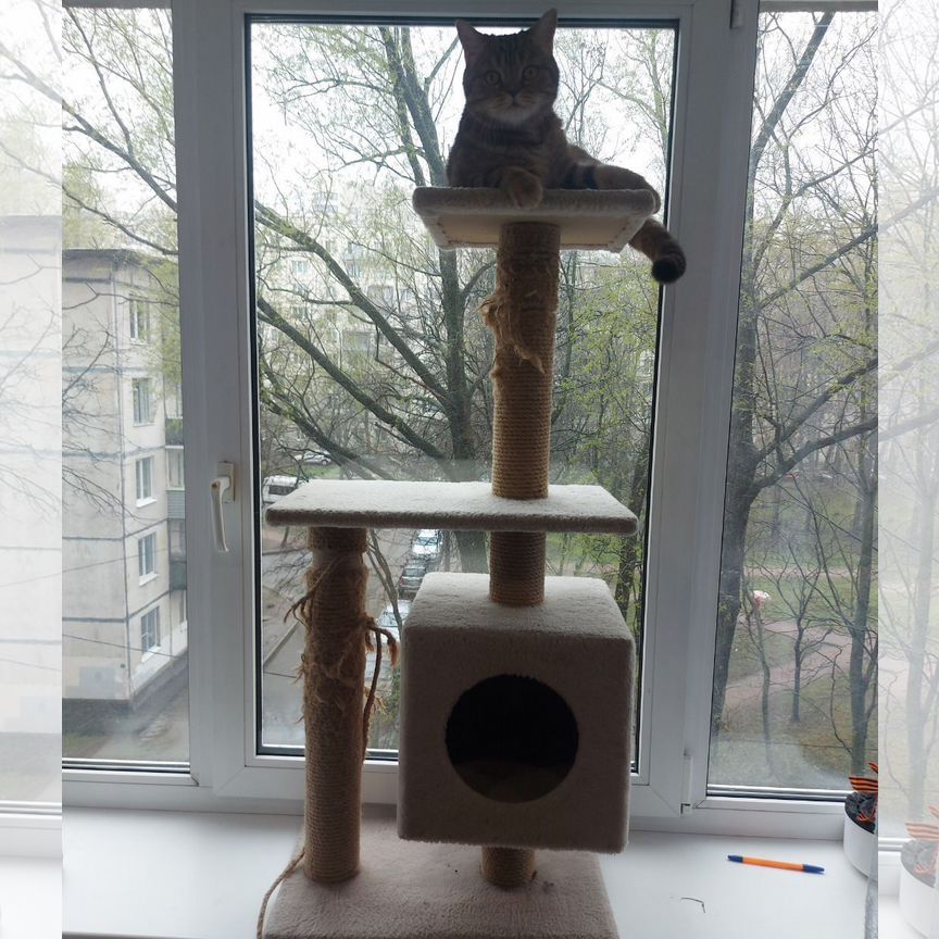 Когтеточка с домиком и лежанкой