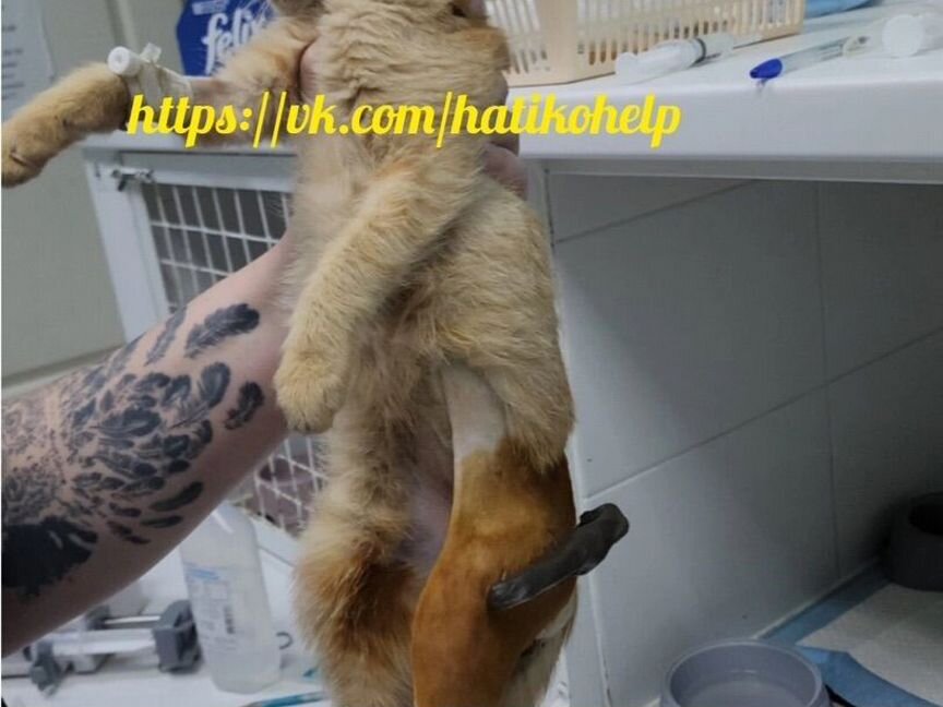Нужны пеленки
