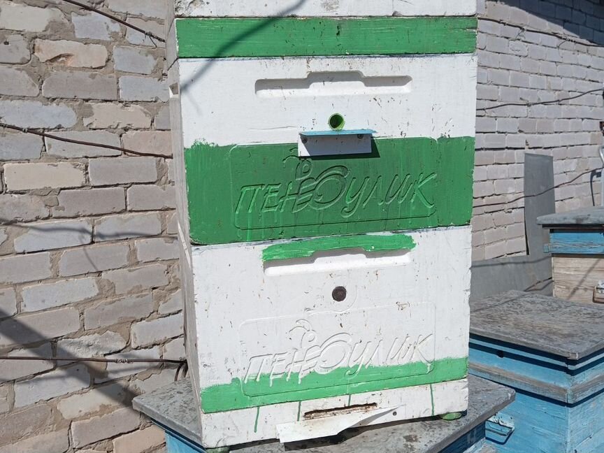 Улей для пчел ППУ