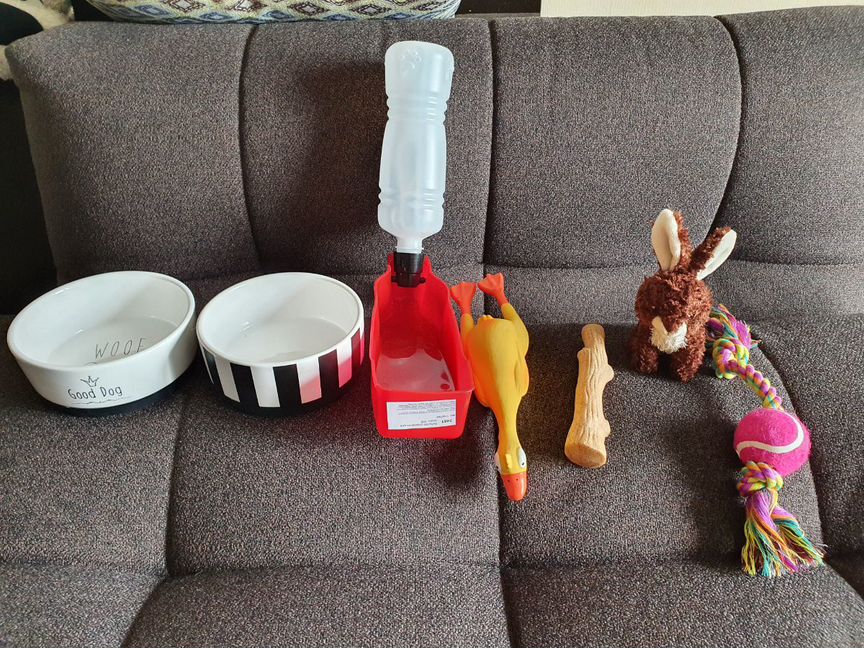 Миски, ножницы, игрушки для собаки