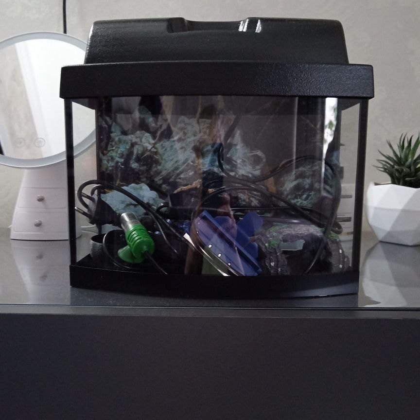 Аквариум, предметы для чистки, обогреватель и тд