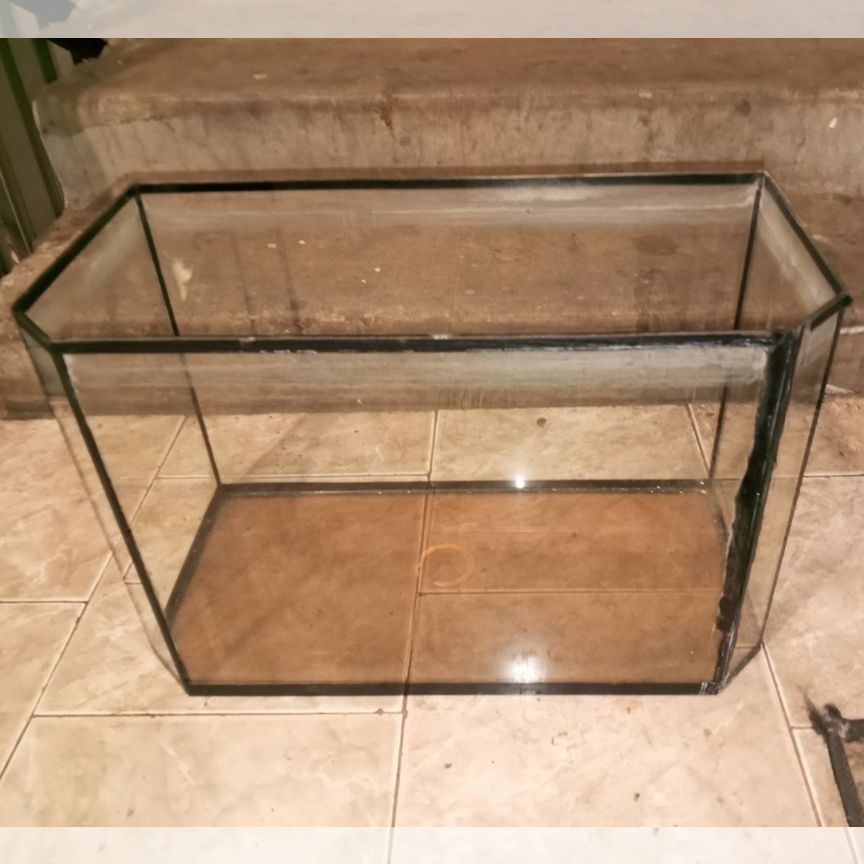 Аквариумные рыбки