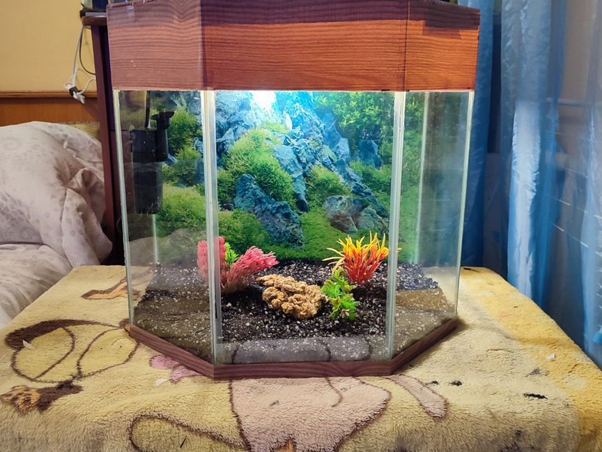 Аквариум в комплекте