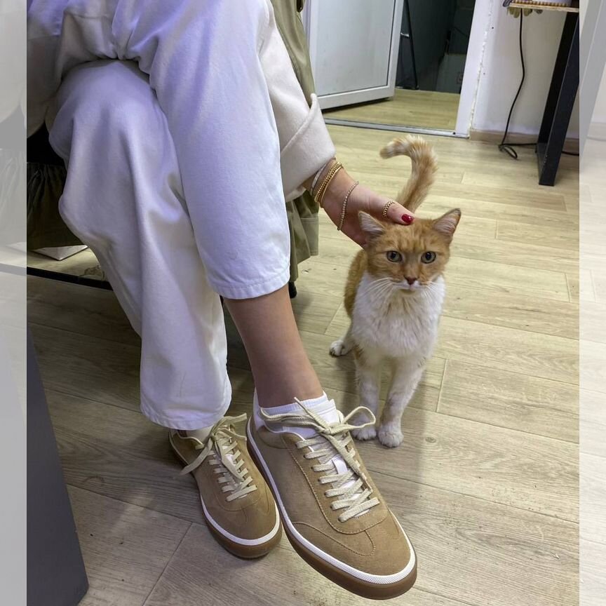 Взрослый кот в добрые руки