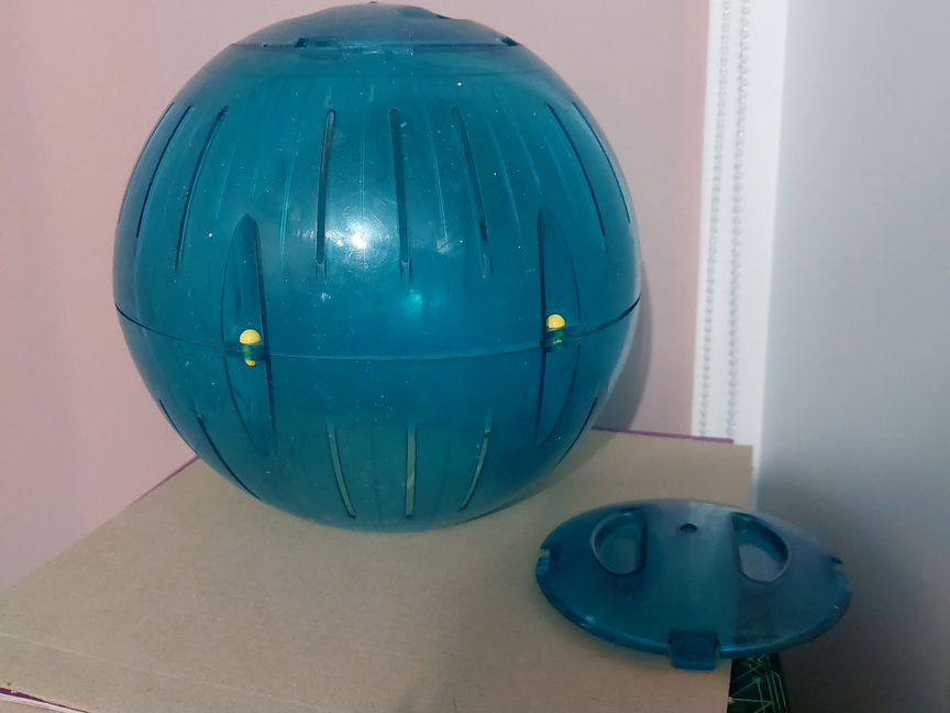 Беговой шар для декоративных крыс