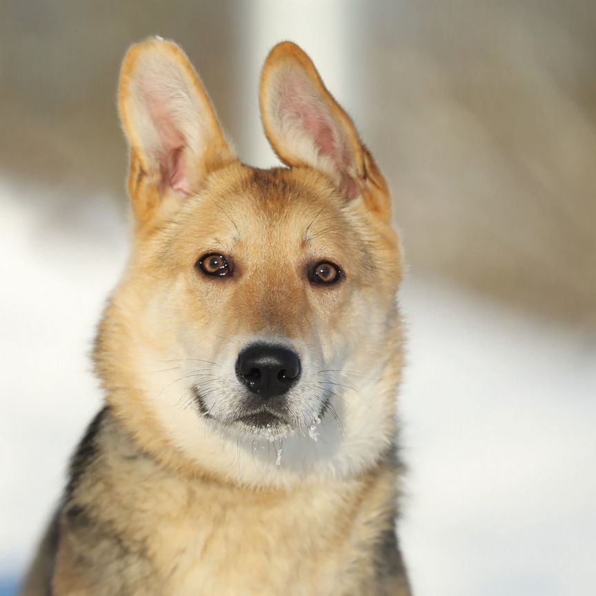 Мальчик-подросток из приюта очень ждет свою семью