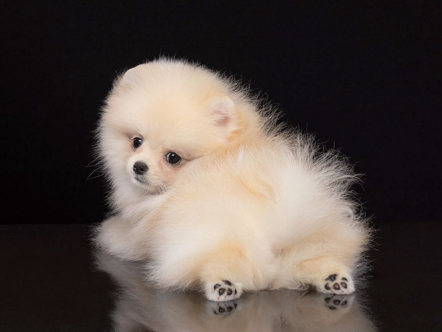 Кукольный мальчишечка