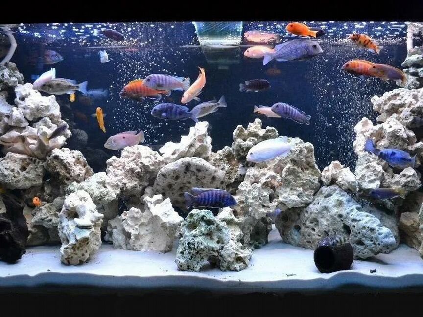 Камень Кения Африка для аквариума