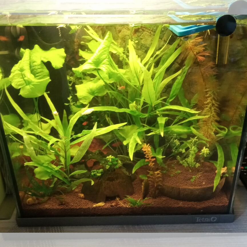 Украшение для аквариума