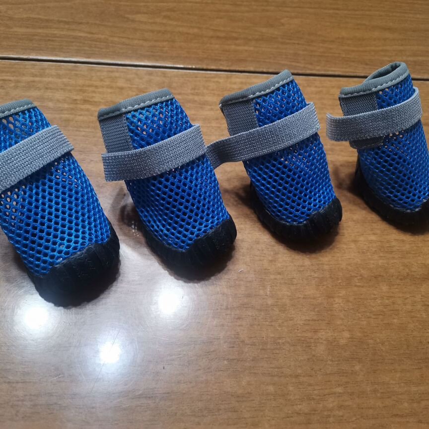 Обувь для собак