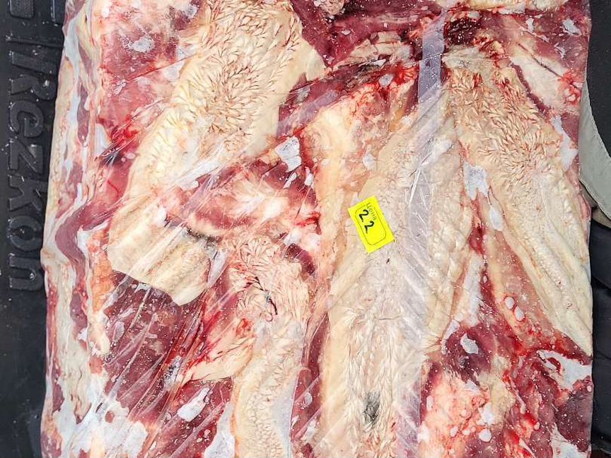 Корм для собак