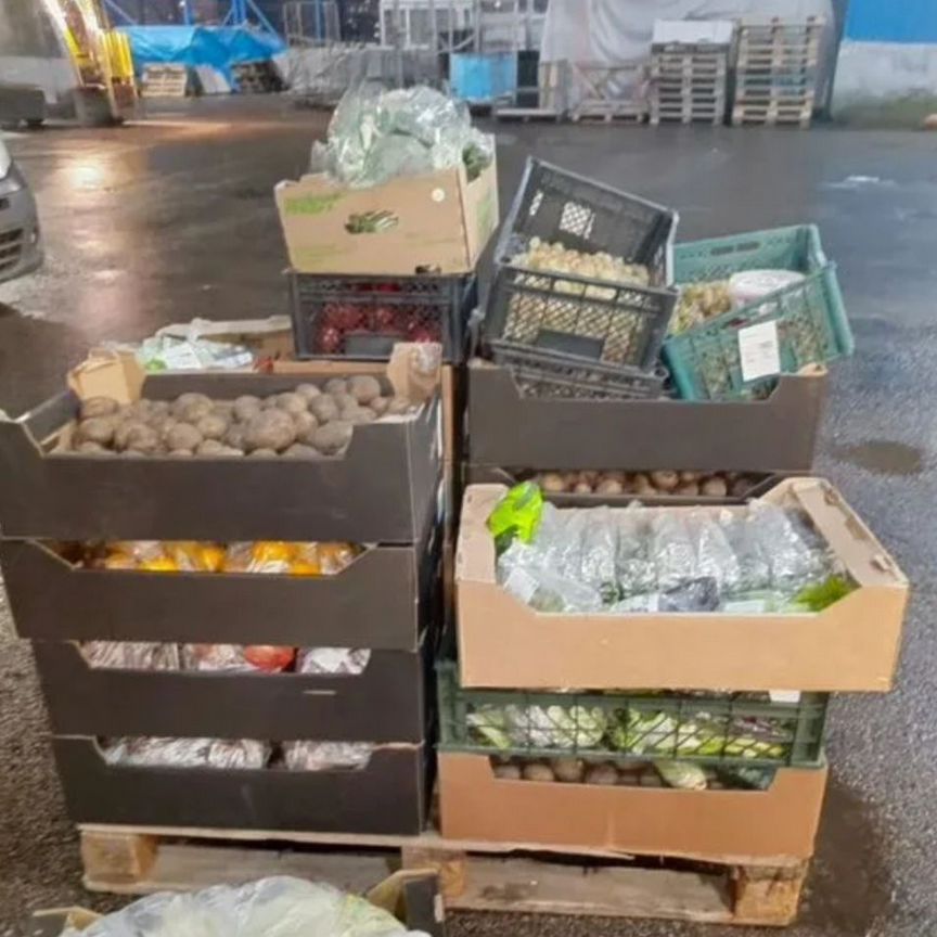 На корм животным