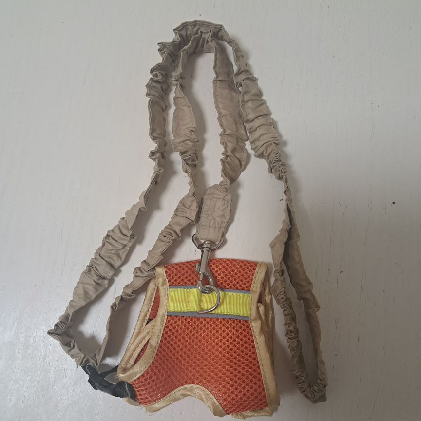 Поводок - шлейка для морской свинки