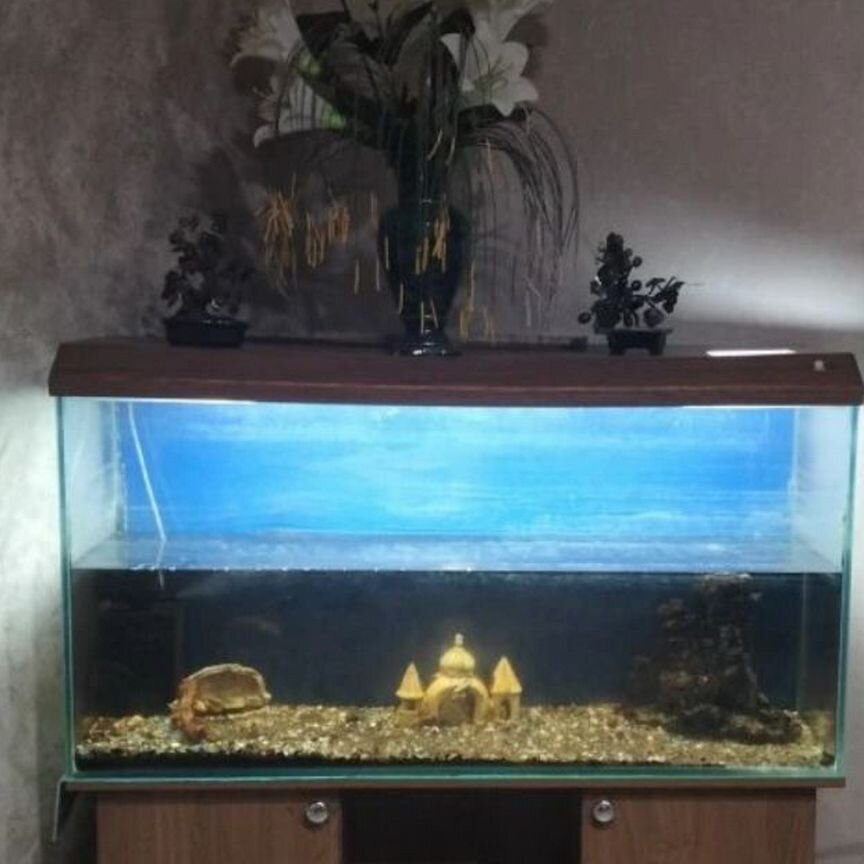 Аквариум с тумбой 200л