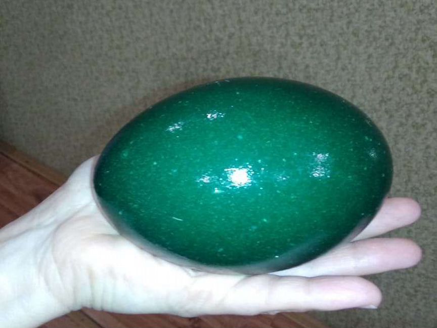 Инкубационное яйцо