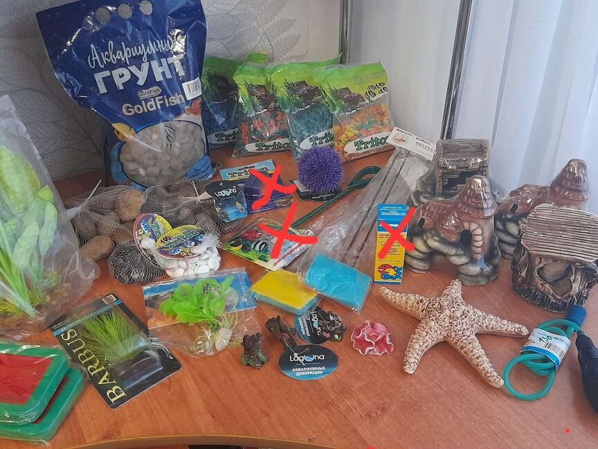 Аквариумистика