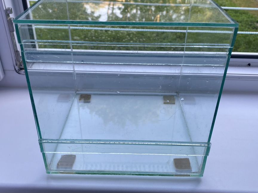 Террариум для паука