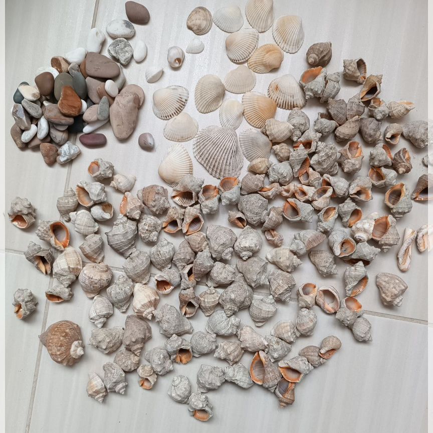 Лот -Ракушки, камешки для аквариума