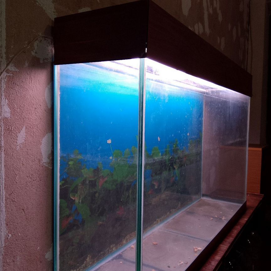 Аквариум 190 литров