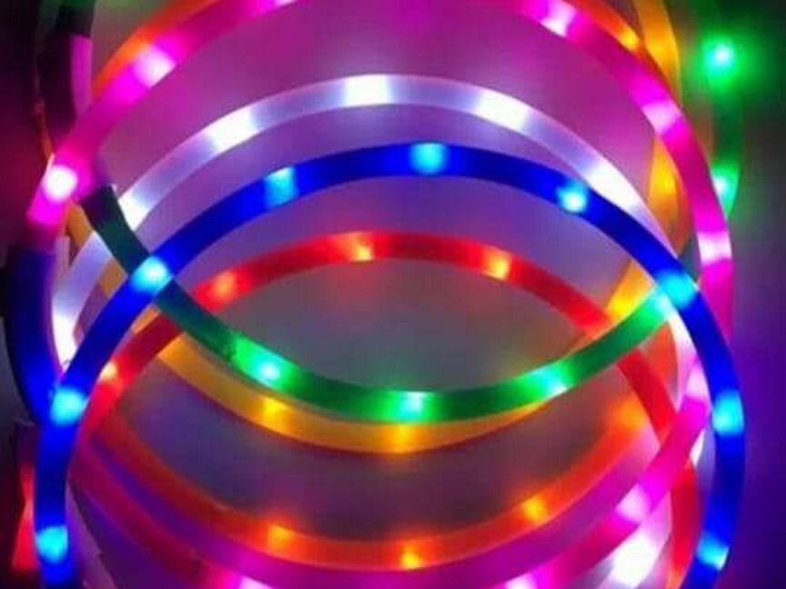 Аксессуары для собак